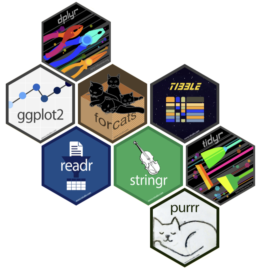 Biostatistics 1 - R08: Transforming and subetting data with tidyverse